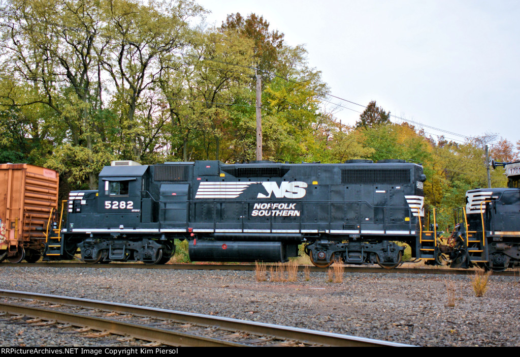 NS 5282